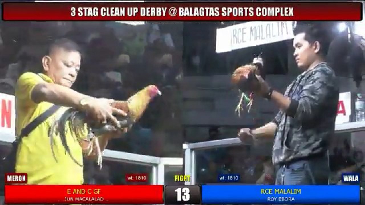 3 Stag Clean Up Derby: Fight #13 - video Dailymotion