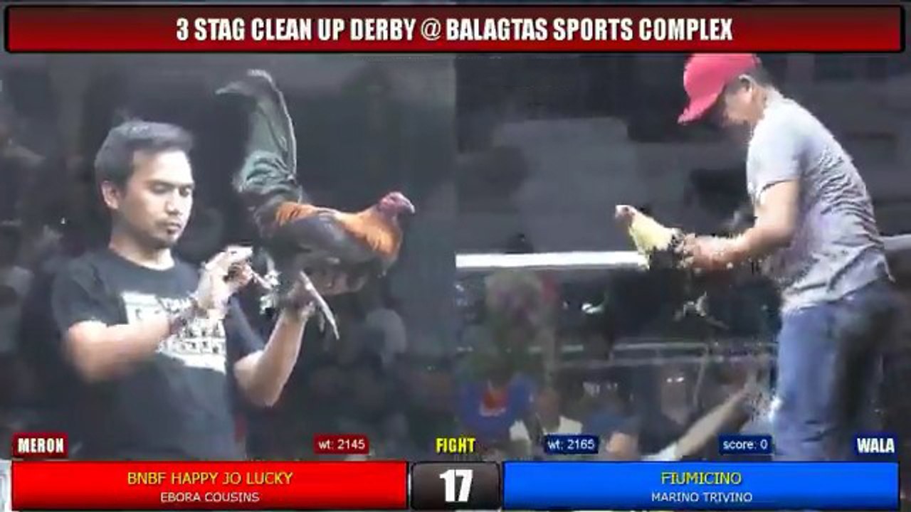 3 Stag Clean Up Derby: Fight #17 - video Dailymotion