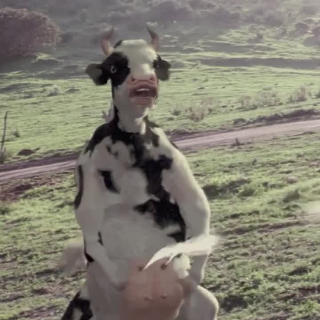 Kung Pow Scenes