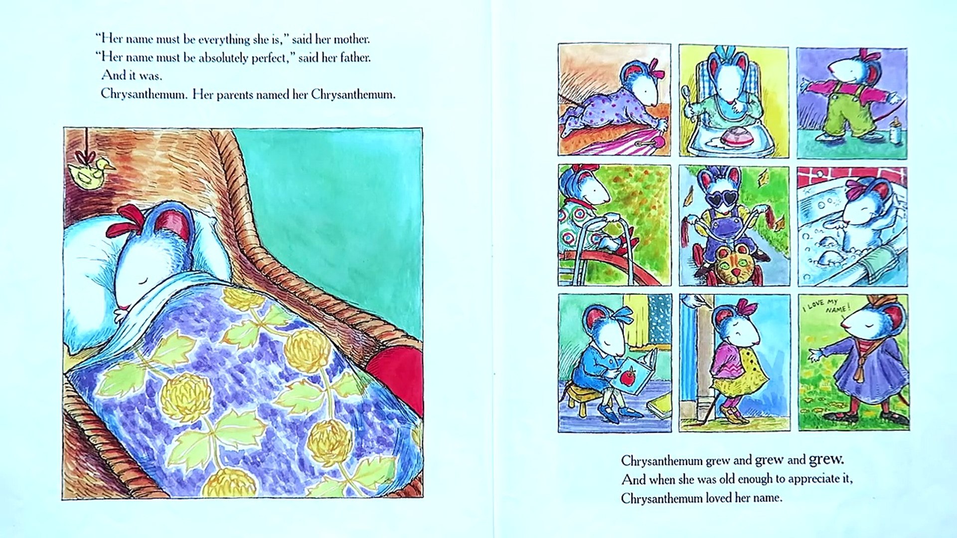 Chrysanthemum By Kevin Henkes Clipart House