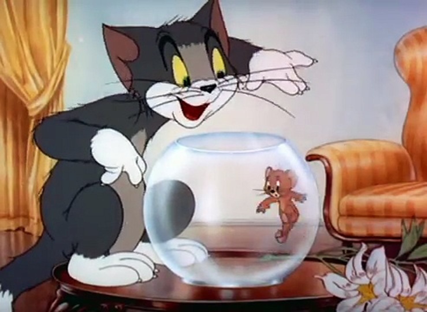 Tom And Jerry Toots