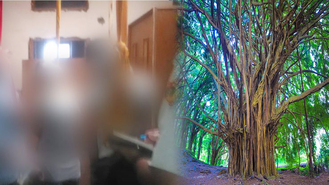 Burari Case: Banyan Tree की जटाओं से जुड़ा है 11 लोगों की मौत का रहस्य ...