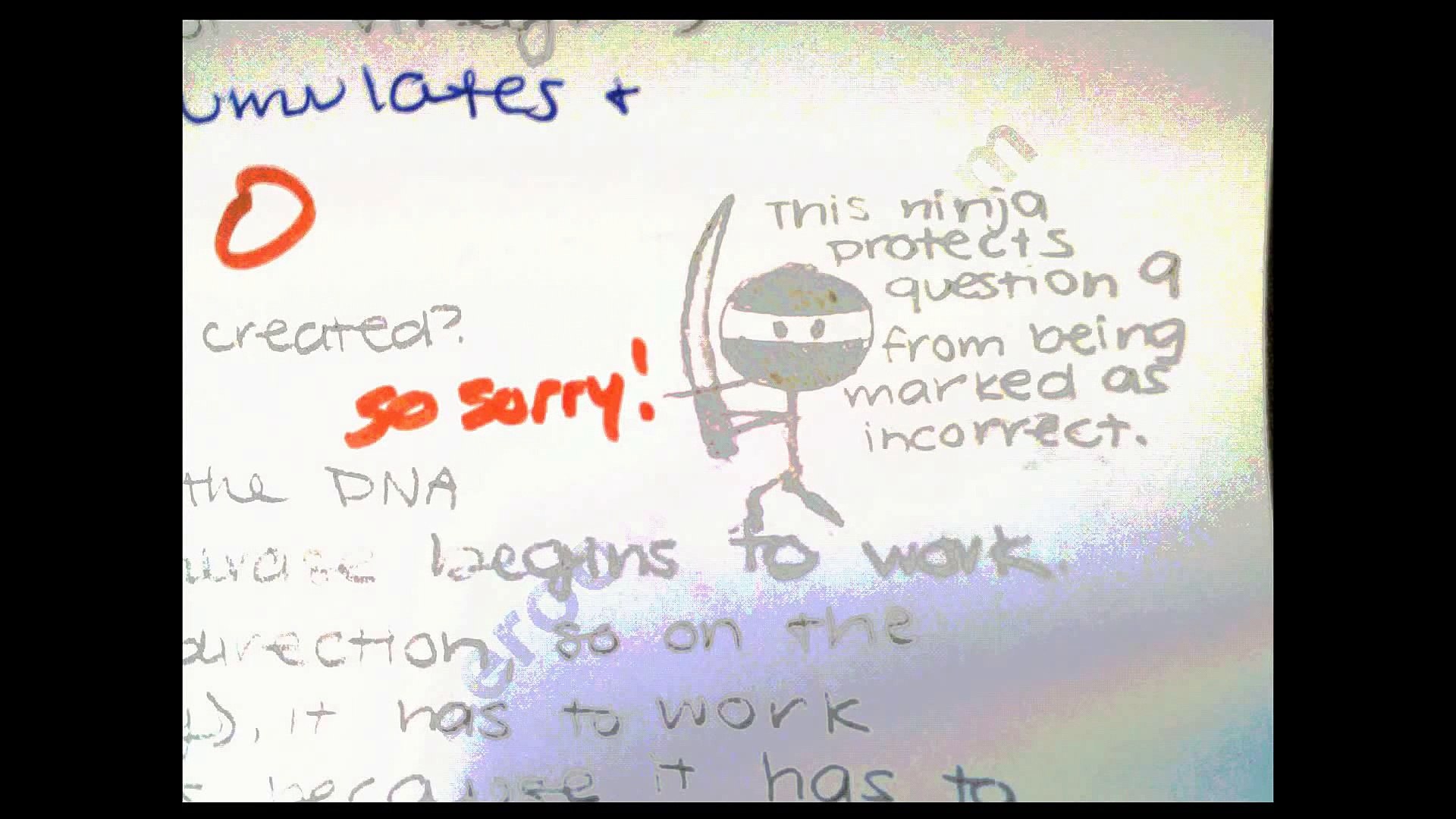 Drawing Funny Test Answers What Is Your Favorite Funny Test Answer?