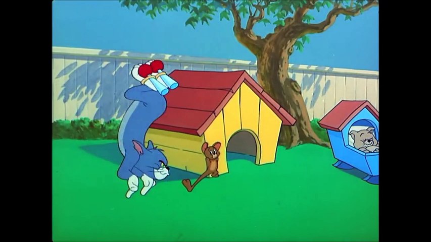 TOM AND JERRY de Carton / رسوم متحركة - Dailymotion