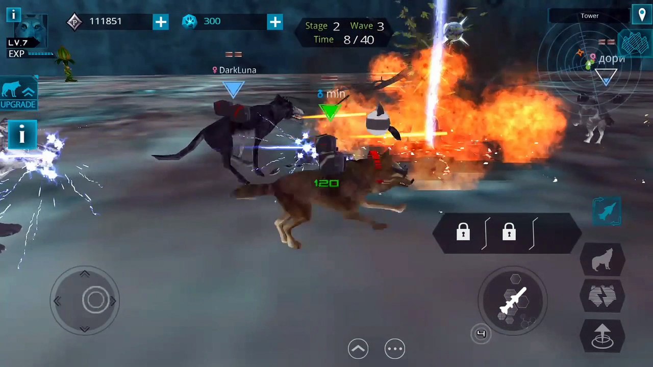 xwolf top battle - video Dailymotion