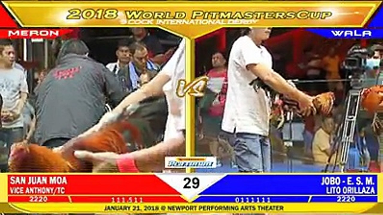 WORLD PITMASTER CUP 2018 #FIGHT 29 SAN JUAN MOA VS JOBO - E. S. M ...
