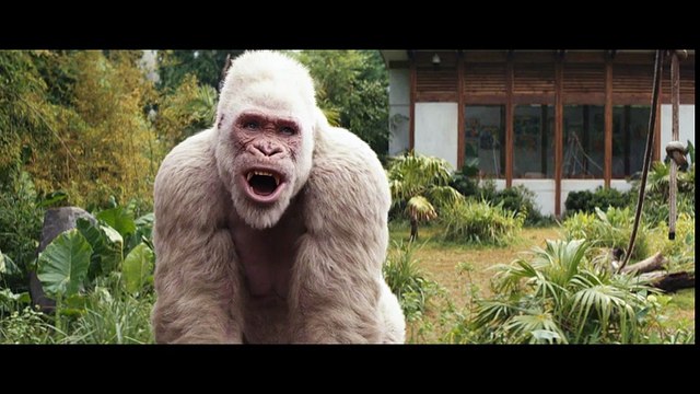 Wild animals videos - Dailymotion