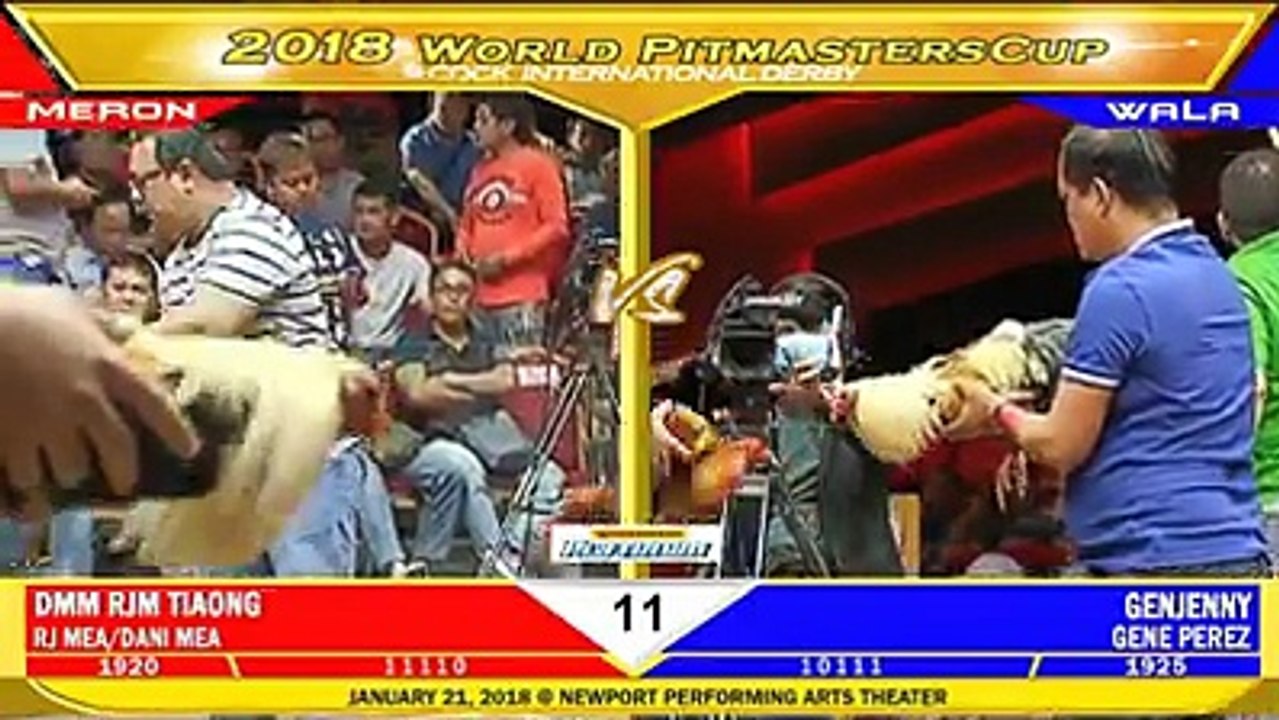 WORLD PITMASTER CUP 2018 FIGHT 11 DMM RJM TIAONG VS GENJENNY - video ...