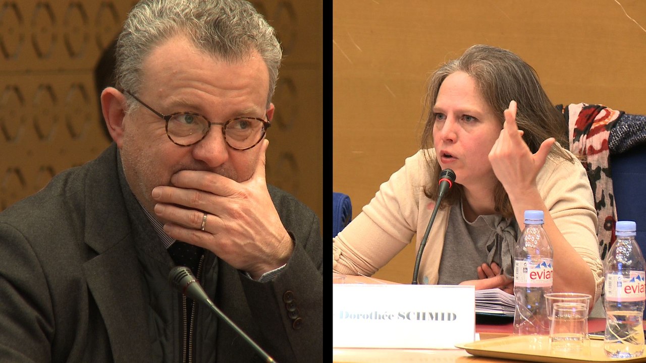 [Turquie] Entretien croisé entre Dorothée Schmid, chercheur à l’IFRI ...