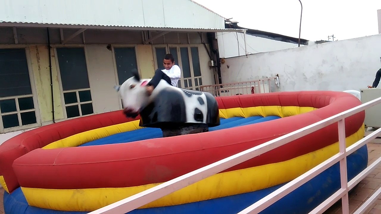 Viral/Funny Bull riding video-Amazing - video Dailymotion