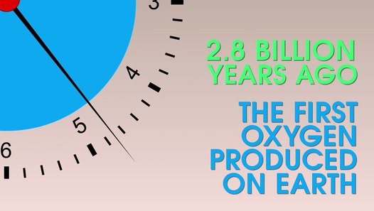 Where Are Humans In The Timeline Of The Earth? - video dailymotion