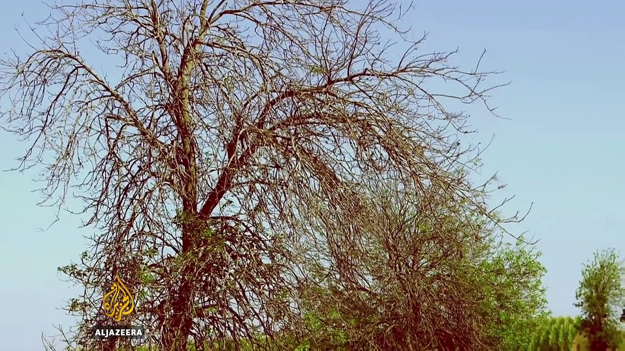 Canada's Dark Secret - Featured Documentaries - video Dailymotion