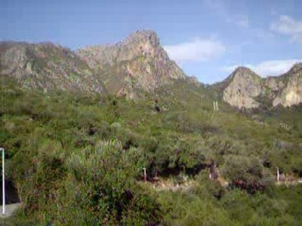 Pic des singes à Béjaia - Vidéo Dailymotion
