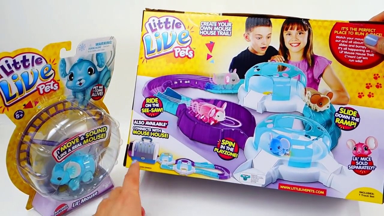 Little Live Pets Mouse and Lil Mouse House Trail | Evies Toy House ...
