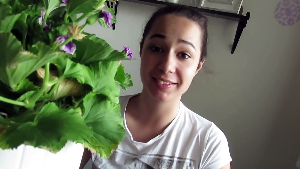 WEDGIE PRANK !!! - video Dailymotion