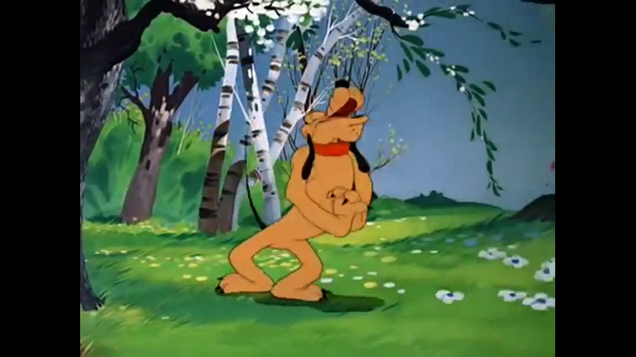 PLUTO: Springtime For Pluto (1944) - video Dailymotion