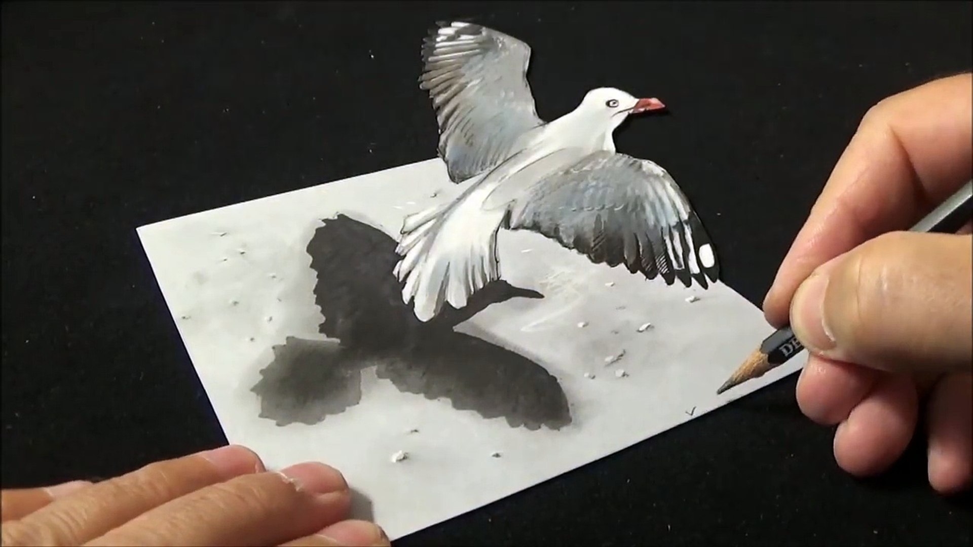 How To Draw A Realistic Bird Flying Step By Step