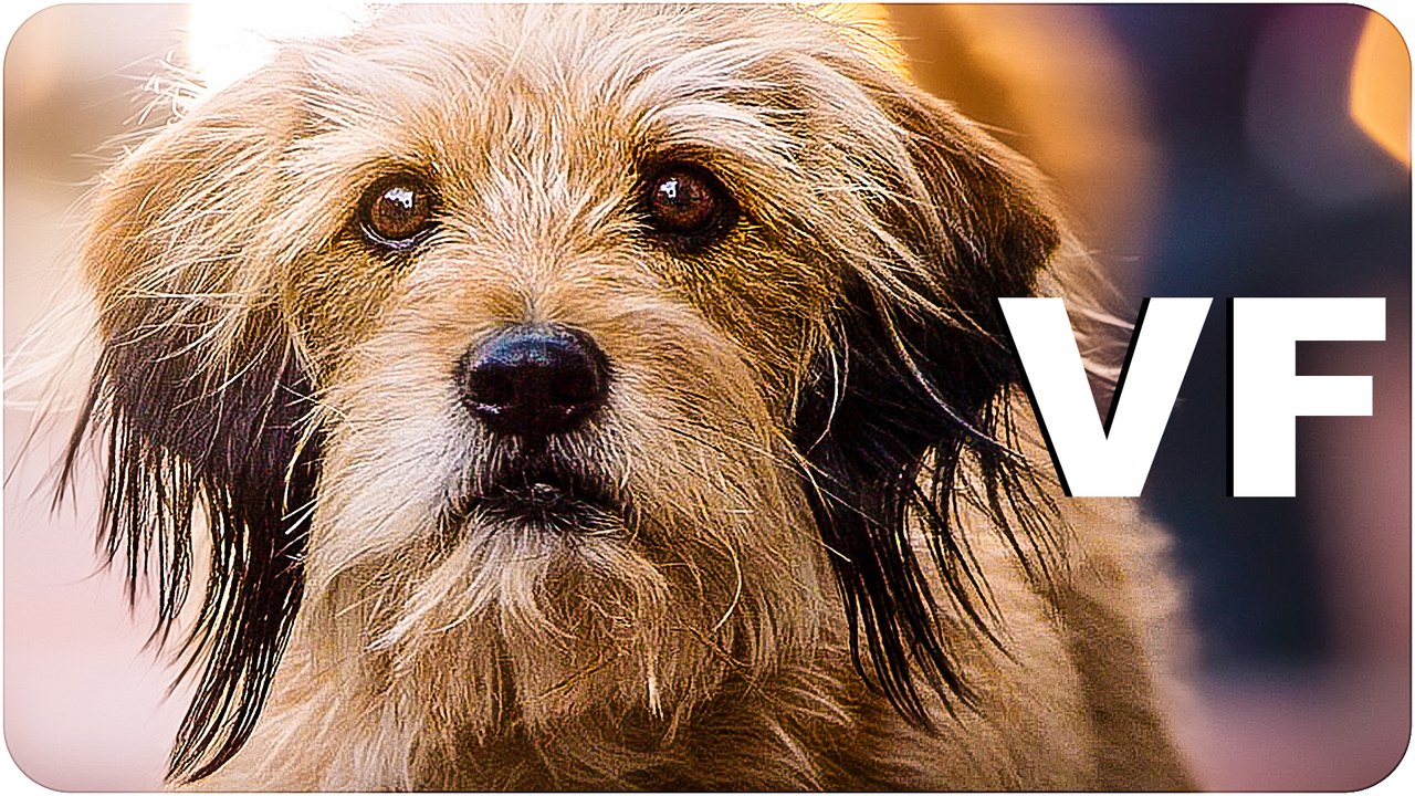 BENJI Bande Annonce VF (2018) - Vidéo Dailymotion