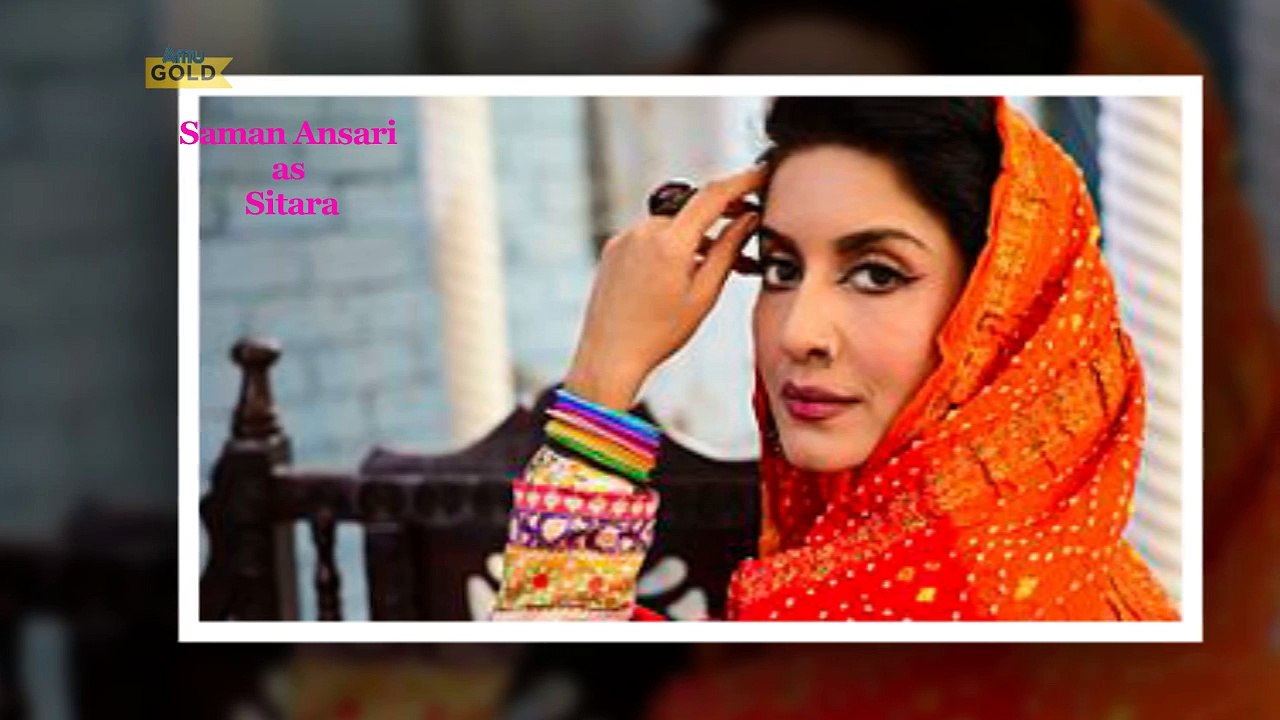 khaani Drama | Cast Names & Ages | Lifestyle | AMU Gold - video Dailymotion