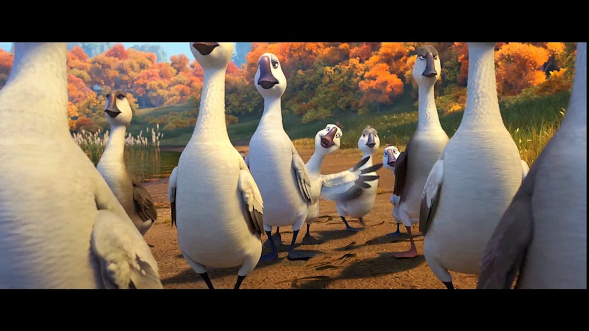Film About Ducks