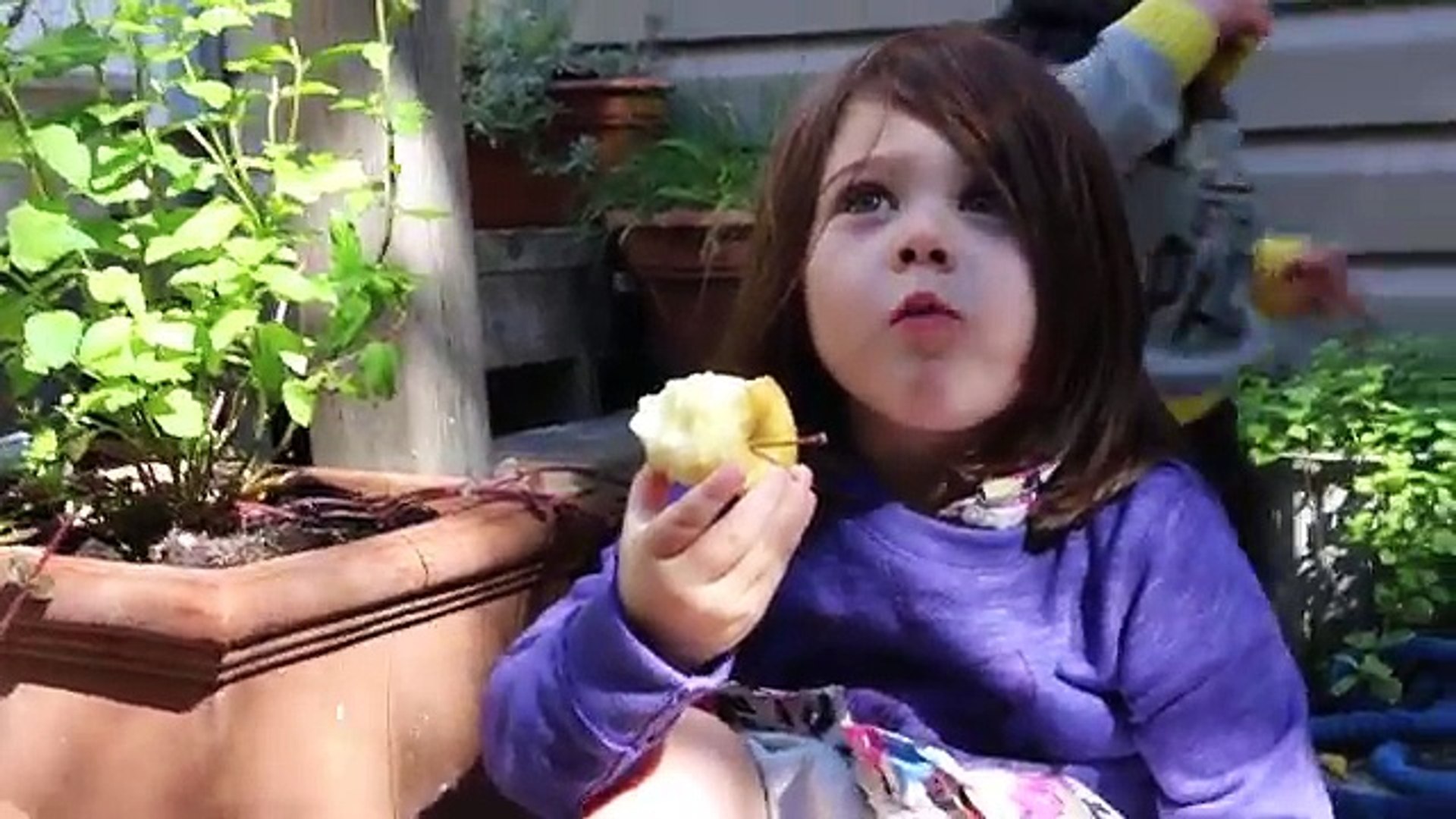 Real Fairies Caught On Camera