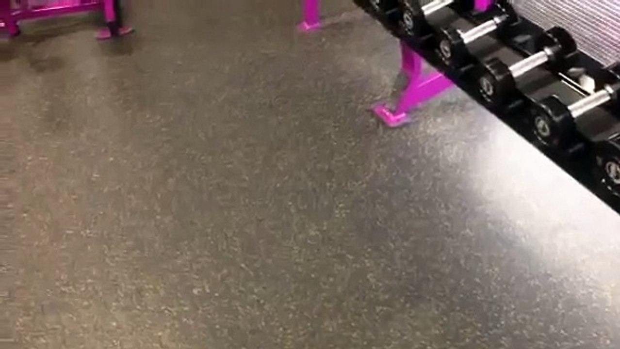 Lunk Alarm - video Dailymotion