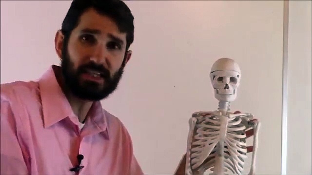 How to Learn the Human Bones | Tips to Memorize the Skeletal Bones ...
