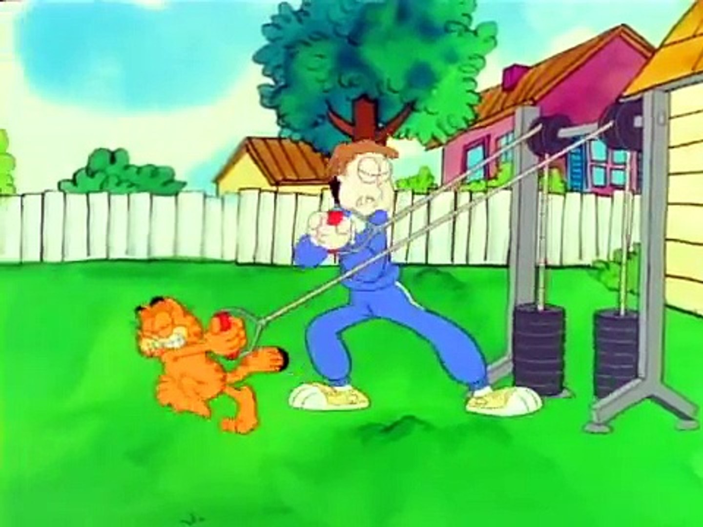 Garfield The Cat And Friends