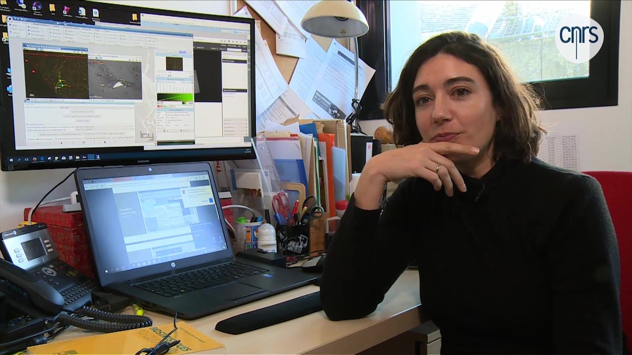 Perrine Paul-Gilloteaux, experte en calcul scientifique - Vidéo Dailymotion