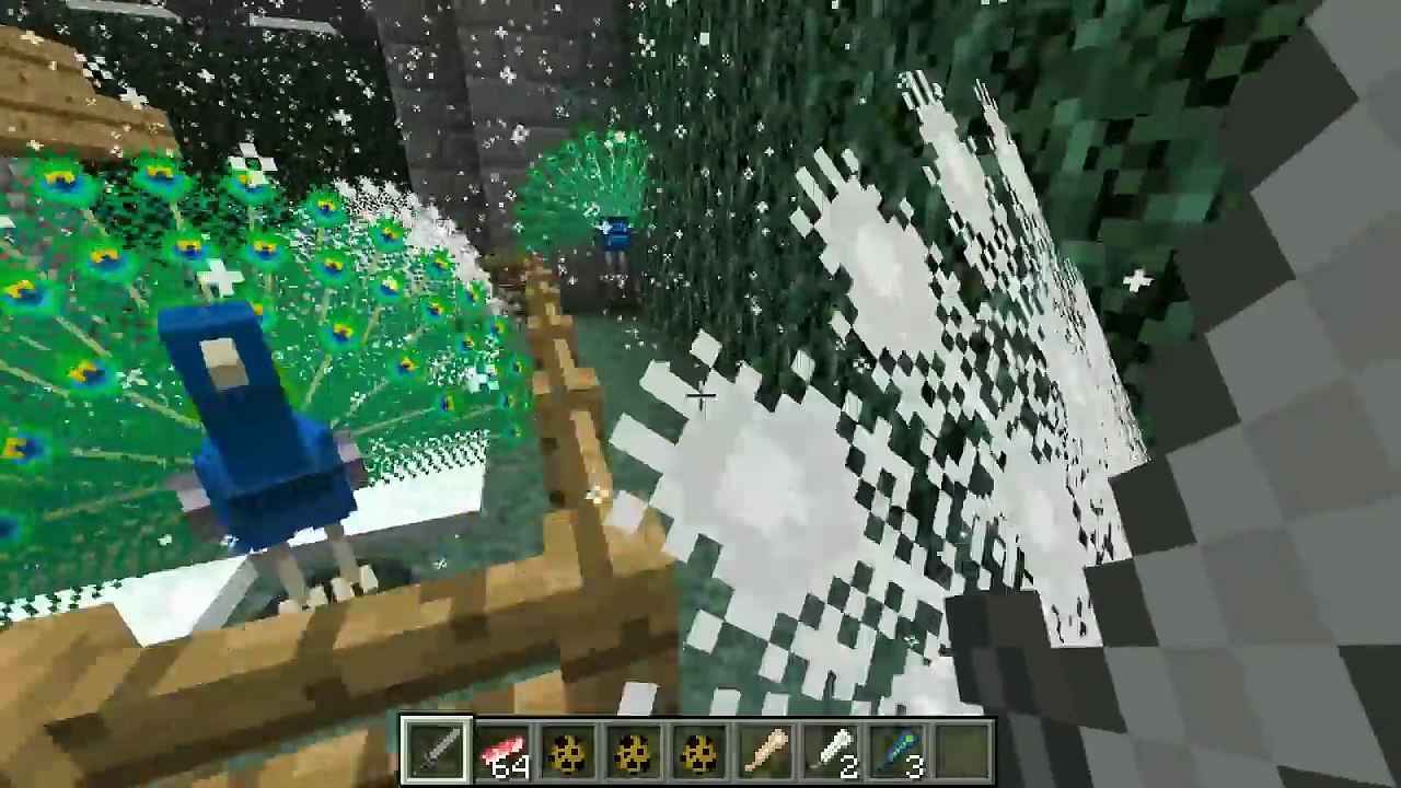PopularMMOs Minecraft PEACOCKS HIDE AND SEEK! - Morph Hide And Seek ...