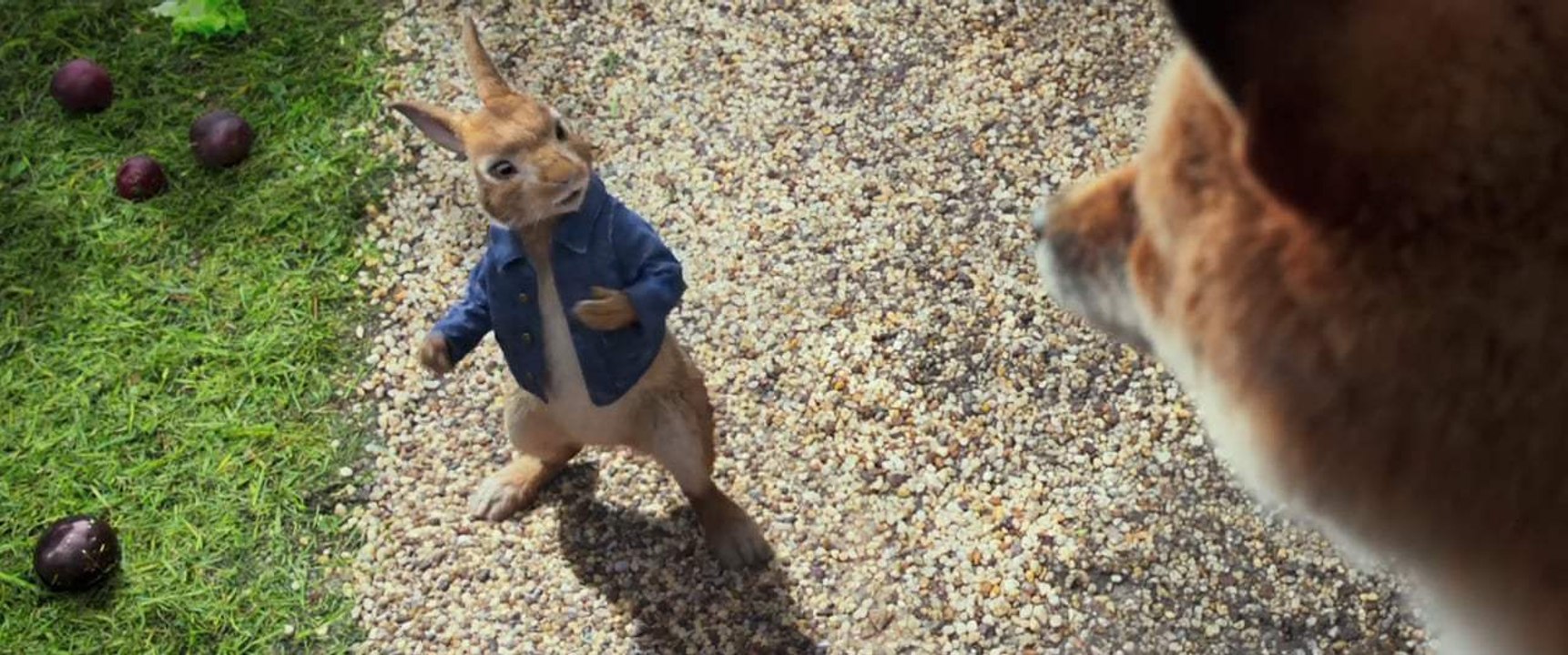 Peter Rabbit full movie english - video Dailymotion