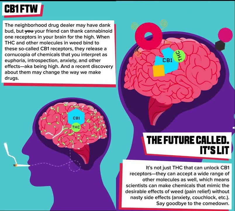 The Science Of How Weed Works - video Dailymotion