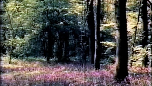 Muppet Babies S05E02 Beauty And The Schnoz - Dailymotion Video