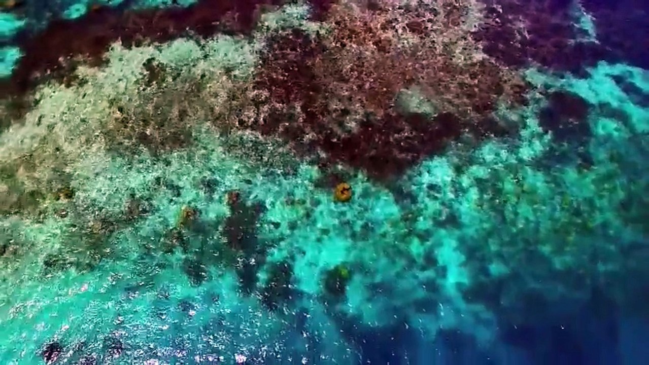 Drain the Ocean WWII Pt 01 - Dailymotion Video