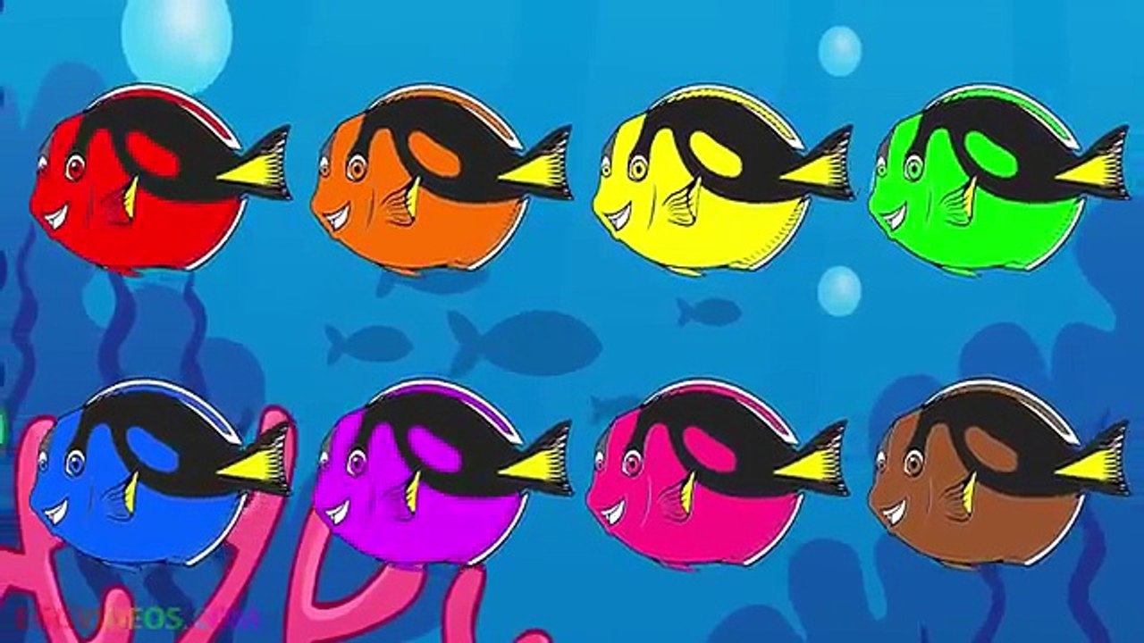 Learn Colors with Finding Dory Blue Tang Fish Coloring Pages (24) Play ...