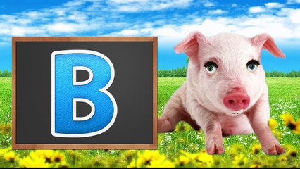 ABCount123 videos - Dailymotion