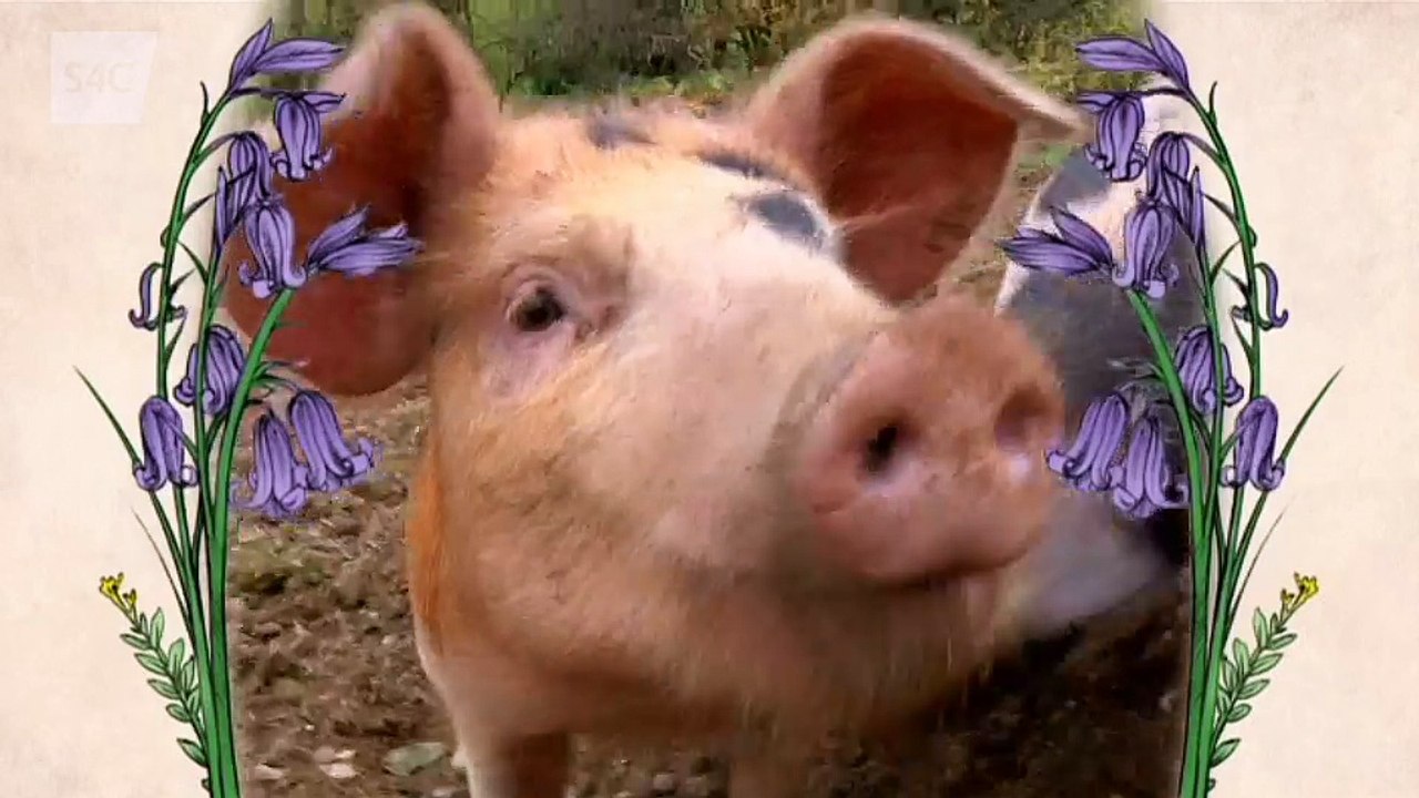 Hafod Haul.s01e01.Bwgan Brain - video Dailymotion