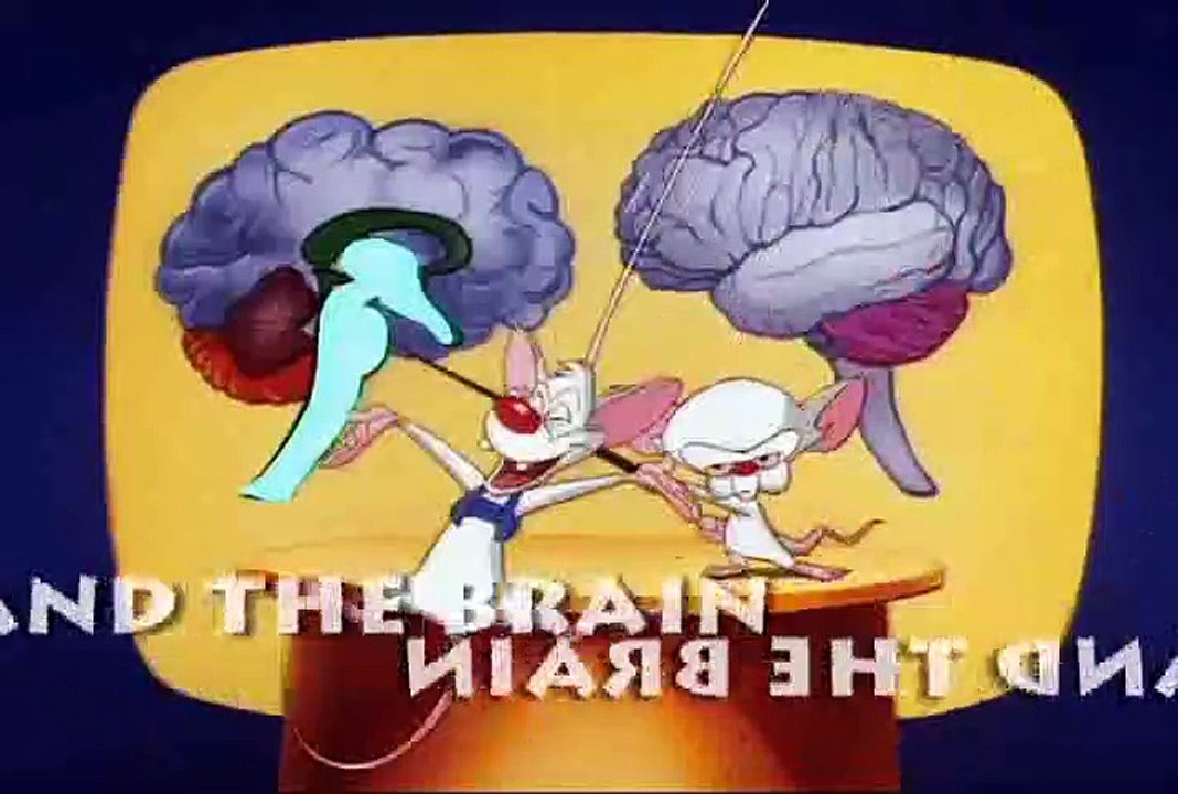 Pinky and the Brain S3E9 - All You Need Is Narf - video Dailymotion