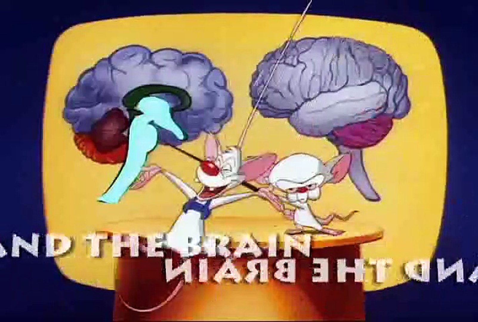 Pinky Og Hjernen Narf Pinky And The Brain's Clones (Animaniacs Reboot