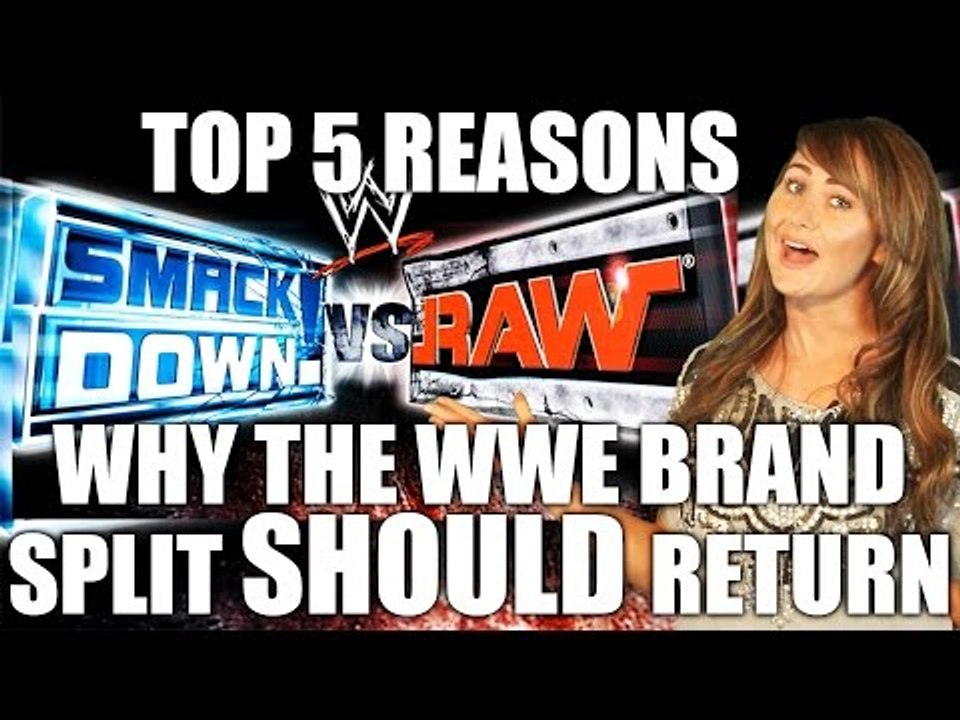 Top 5 Reasons Why the WWE Brand Split SHOULD Return! - video Dailymotion