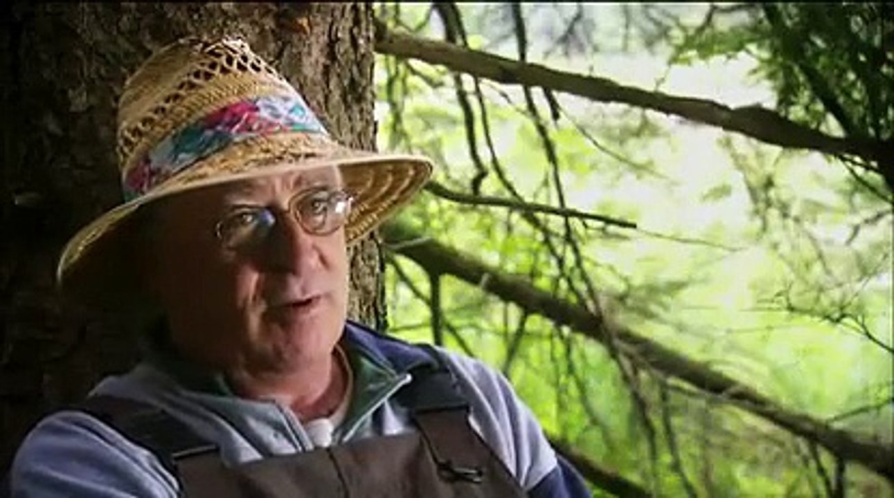 PBS Nature- Leave It To Beavers - video Dailymotion