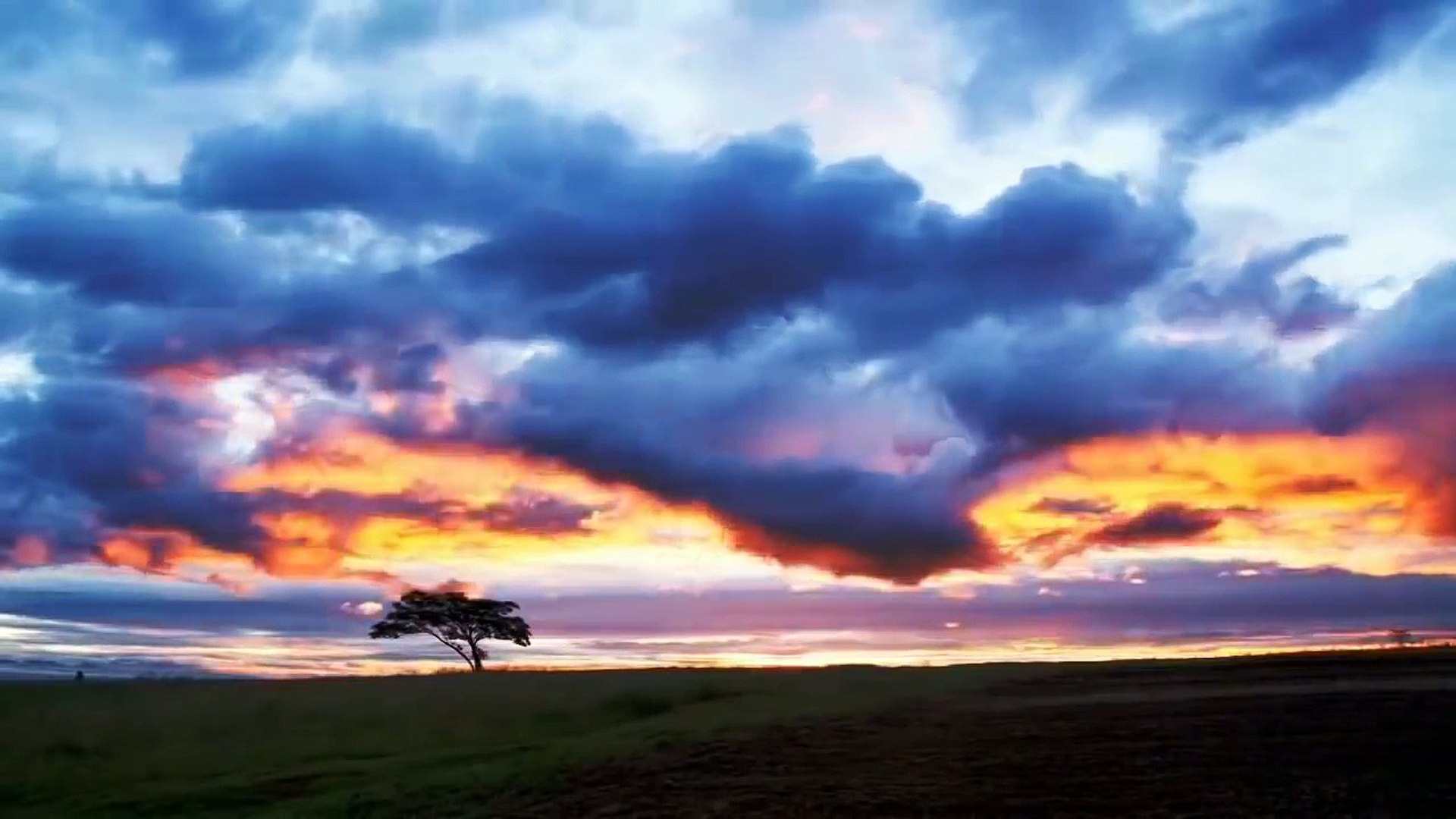 Lion King Reborn (2019) Official Trailer Video Dailymotion | atelier ...