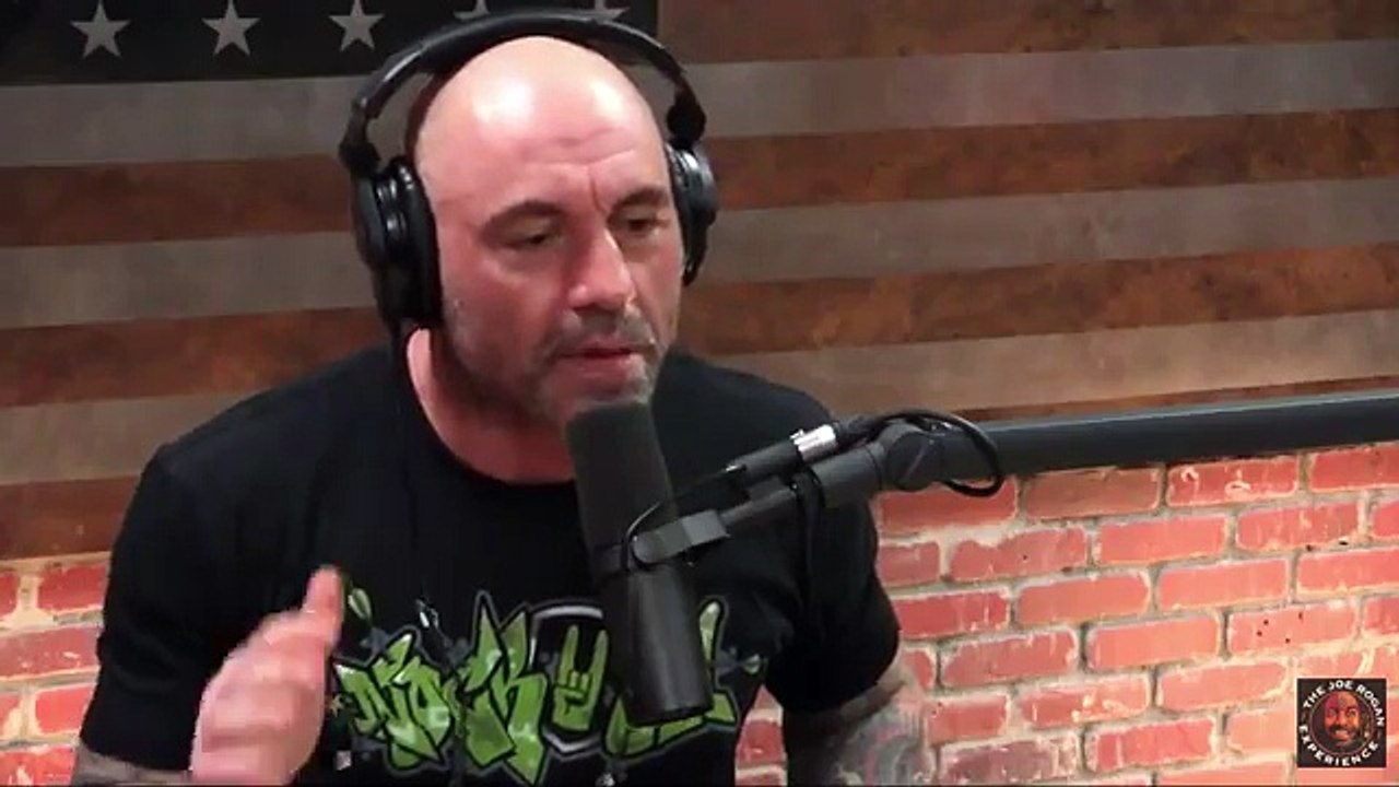 Joe Rogan - Ted Nugent on Gun Control - video Dailymotion