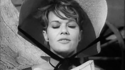 Wagon Train S04E27 The Nellie Jefferson Story - video dailymotion