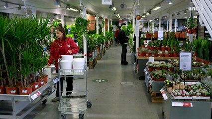 skam all remakes de Oliveira Sabrina - Dailymotion