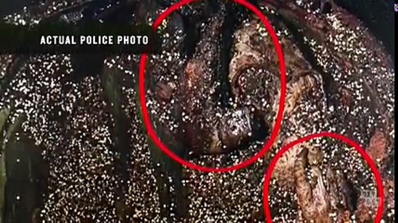 The Murder of Reyna Angelica Marroquin - video Dailymotion