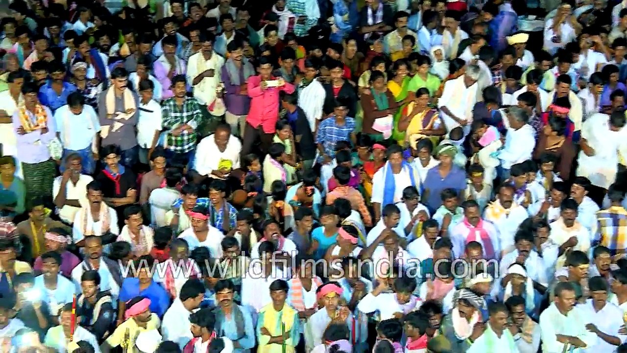 Banni festival of Devaragattu- one of South India secrets - video ...