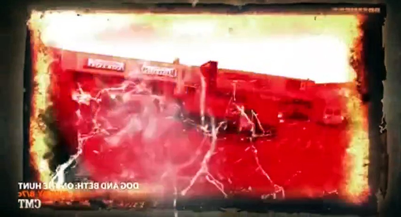 Cops Reloaded S01 - Ep21 21 HD Watch - Dailymotion Video