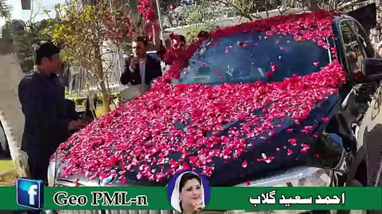 PML n New Song Vote Ko Izzat Do PMLN Anthem by Sher Zaman Takkar ...