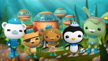 Octonauts Finger Family Nursery Rhymes Lyrics – &&&&& Dailymotion
